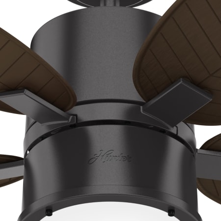 Hunter 51192 Amaryllis 52" 5 Blade Indoor / Outdoor Smart LED Ceiling ...