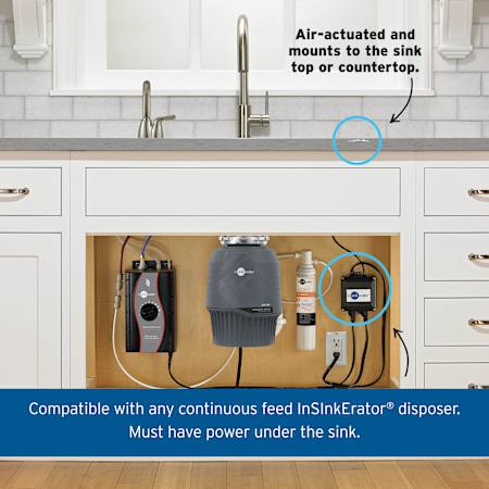 InSinkErator 76696 Air Switch for Sink or Counter Top with Dual Outlet ...