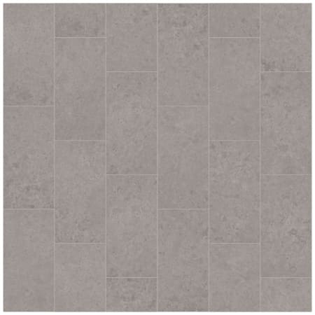 Shaw 403TS-00500 Timeless - 12" x 24" Floor and Wall Tile - Sold by ...