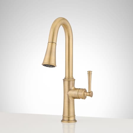 Signature Hardware 562470 Beasley 1.75 GPM Single Hole Pull-Out / Pull ...