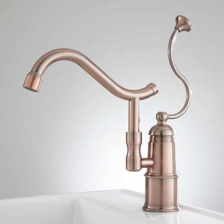 Signature Hardware 346985 Arlin 1.2 GPM Single Hole Bar and Kitchen ...