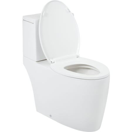 Signature Hardware 480272 Sitka 1.28 GPF Two Piece Elongated Toilet ...