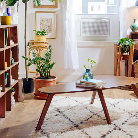 Windmill W1W12 6000 BTU 115V Window Mount Air Conditioner | Ferguson Home